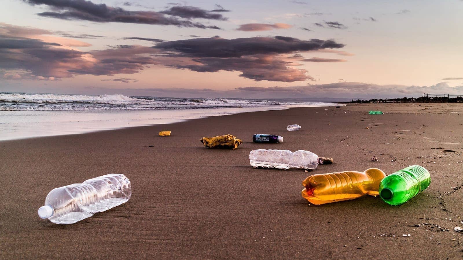#1 Climate change, SDG, ESG consulting, Plastic/ Carbon credits, Jun 2023
